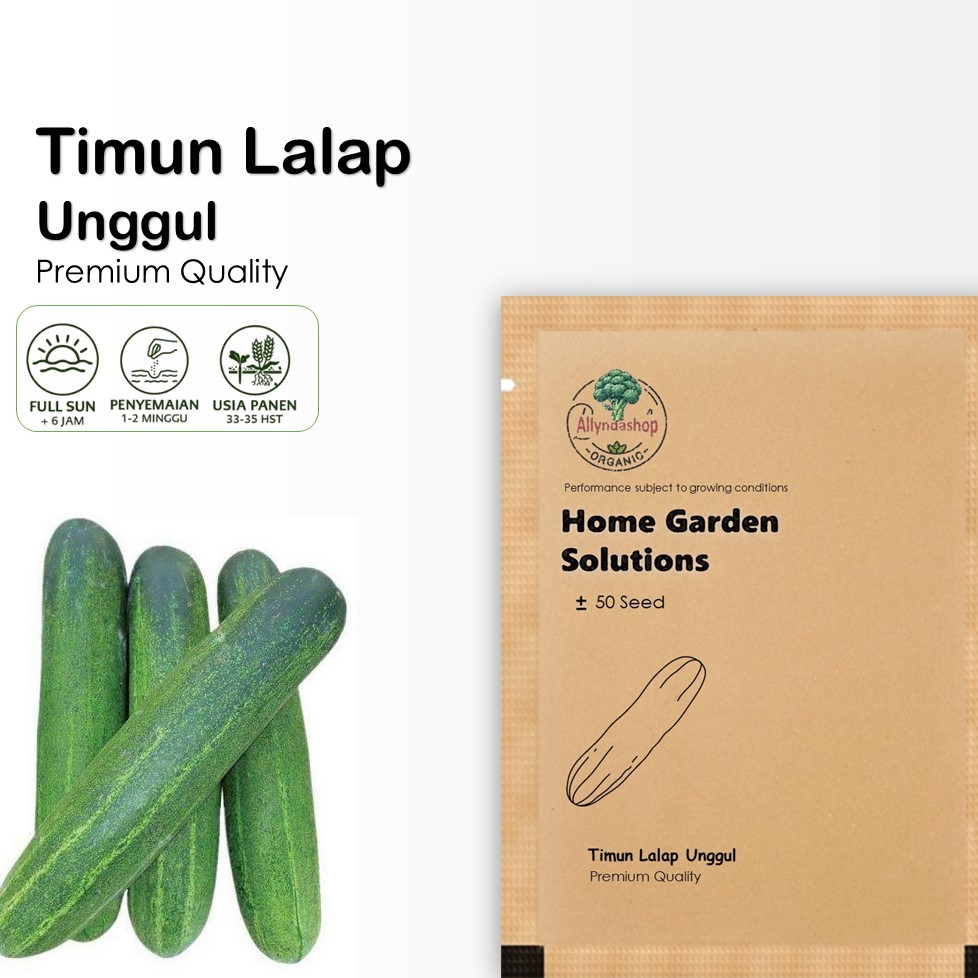 Jual 50 Biji - Bibit Bibit Sayuran Timun Lalap Unggul | Shopee Indonesia
