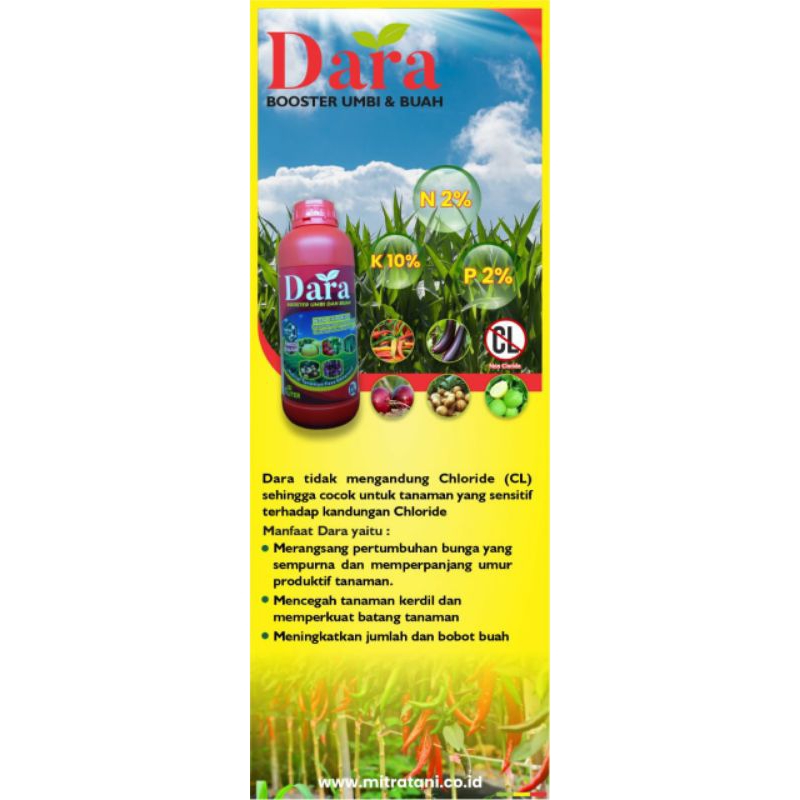 Jual KCL cair DARA Booster Umbi dan Buah | Shopee Indonesia
