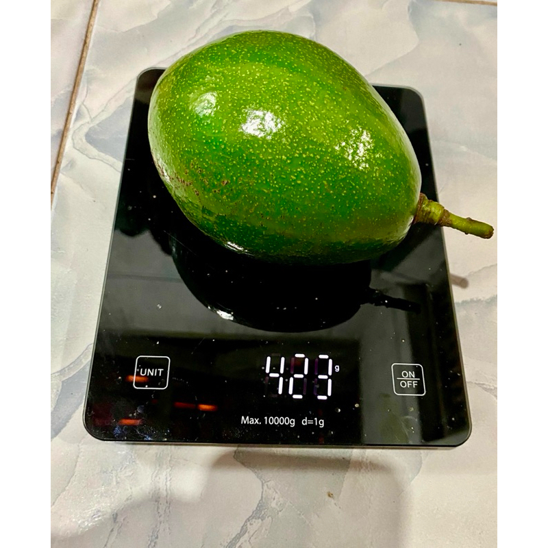 Jual Buah Alpukat Miki (2kg) Alpukat Mentega Premium Super Gurih dan ...