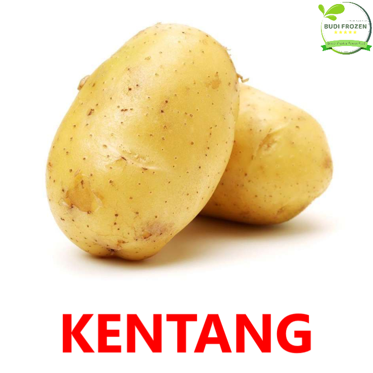 Jual KENTANG BESAR FRESH / KENTANG SEGAR / HARGA PER KG | Shopee Indonesia