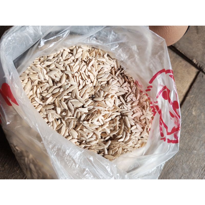 Jual bibit timun asli turunan lokal Padang kemasan 25gram 30rb | Shopee ...