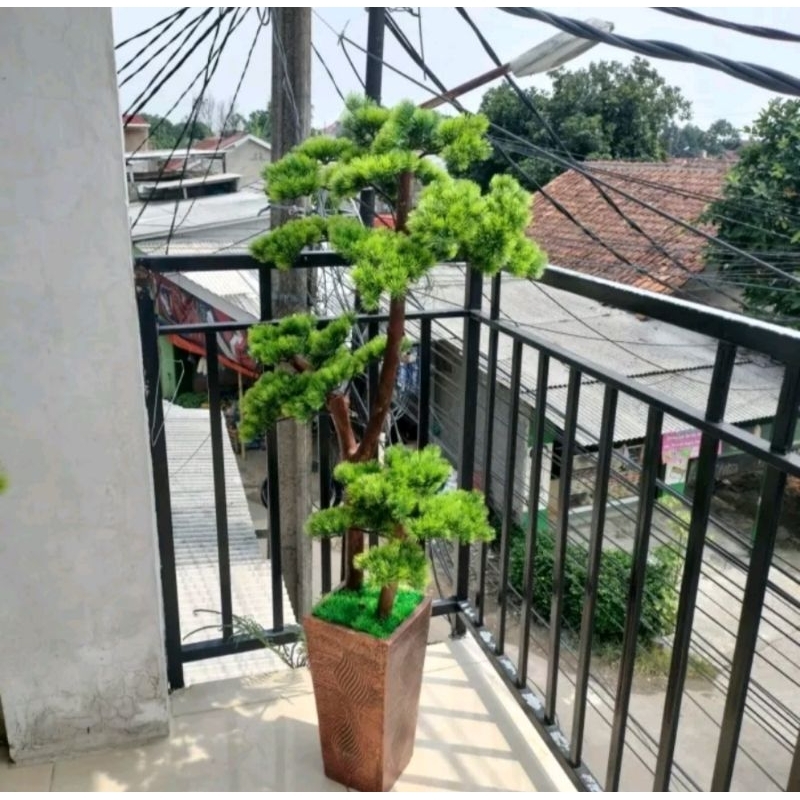 Jual Pohon Bonsai Cemara Udang Artificial 1,5 Meter | Shopee Indonesia