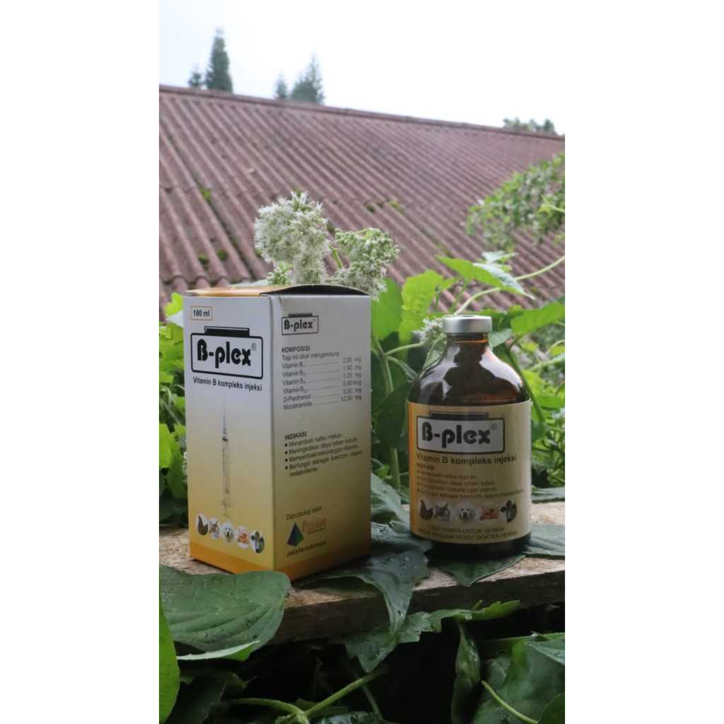 Jual B-plex ( Vitamin B kompleks + b12 injeksi ) | Shopee Indonesia