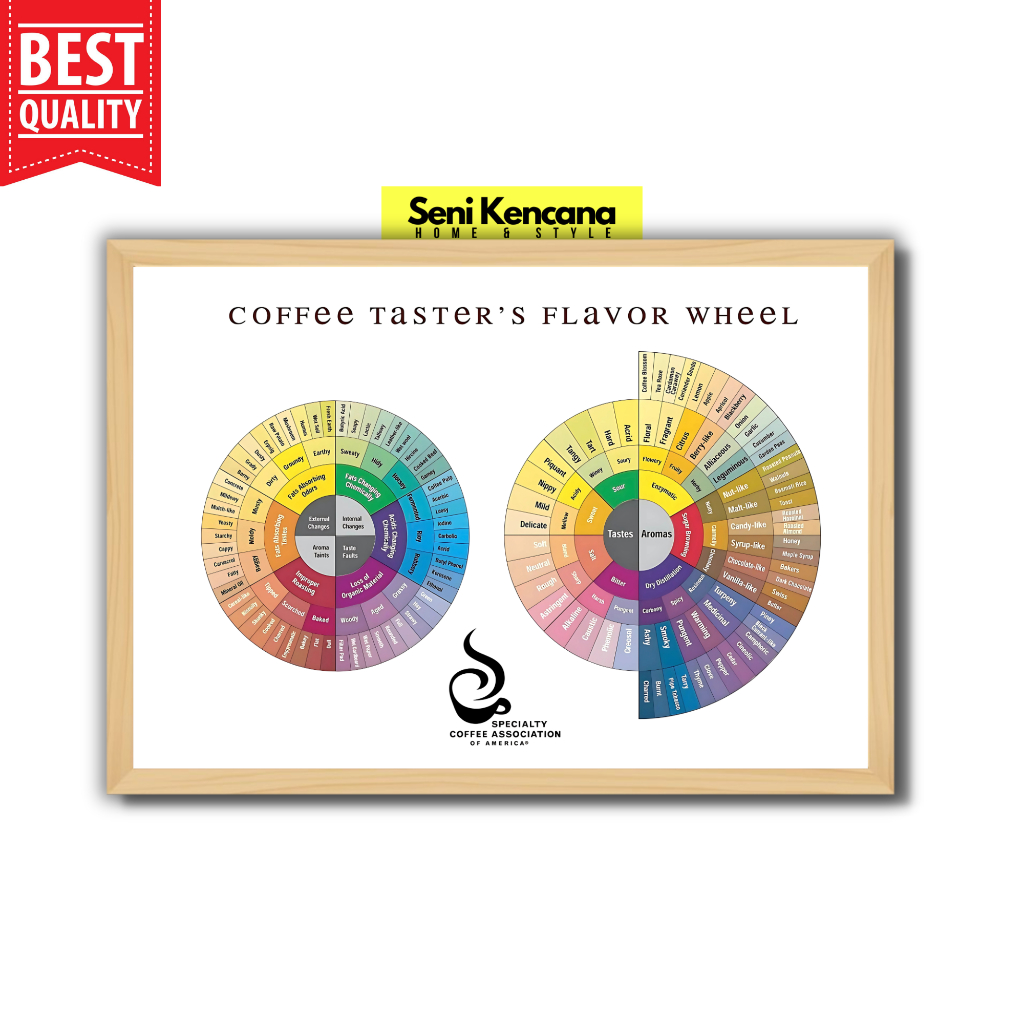 Jual Poster Coffee Taster Flavor Wheel Speciality Coffee Association ...