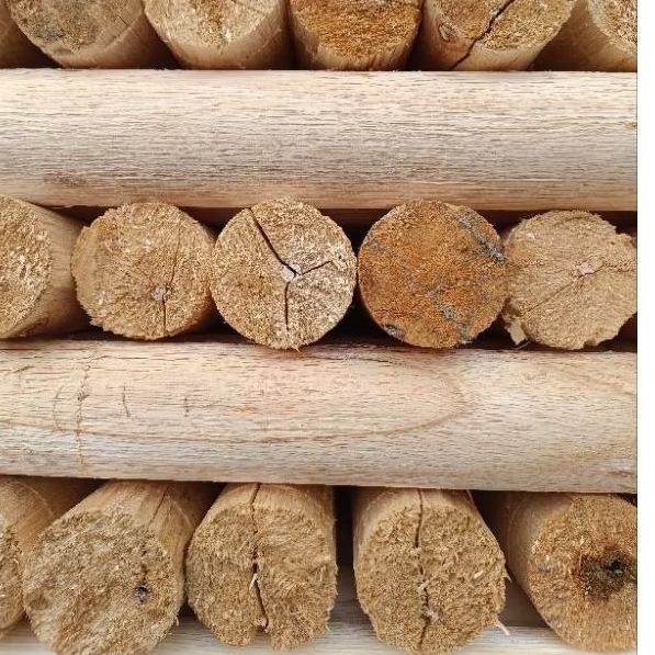 Jual KAYU BULAT DOLKEN D 5 CM X 1 METER | Shopee Indonesia