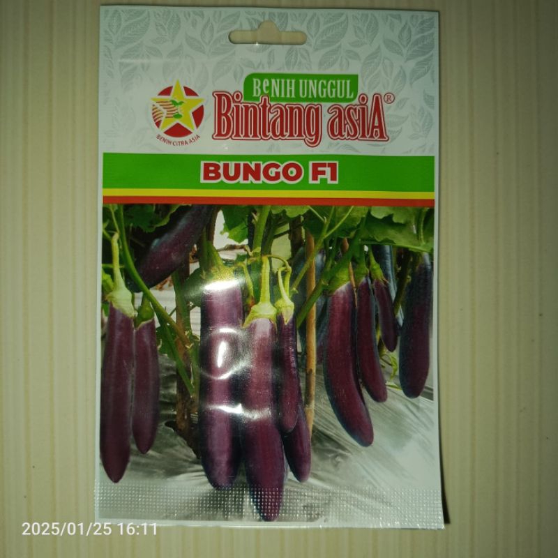 Jual Benih Terong Ungu BUNGO F1 | Shopee Indonesia