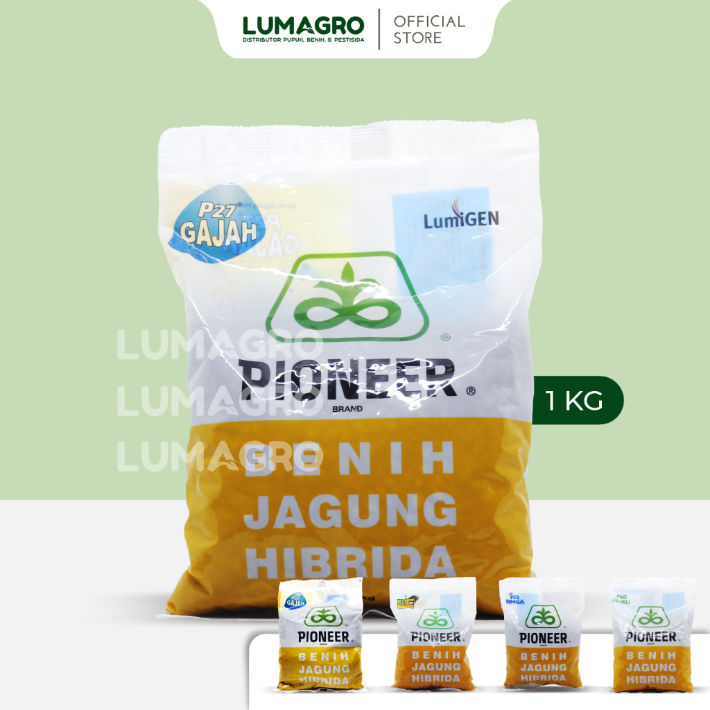 Jual Benih Jagung Pioneer P27 Lumigen Gajah P40 Famili P21 Bison P32 ...