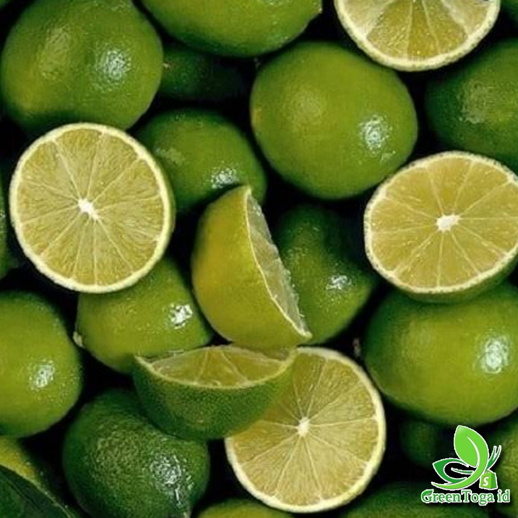 Jual Jeruk Pecel JEruk Nipis Sayur 250 Gram Segar | Shopee Indonesia