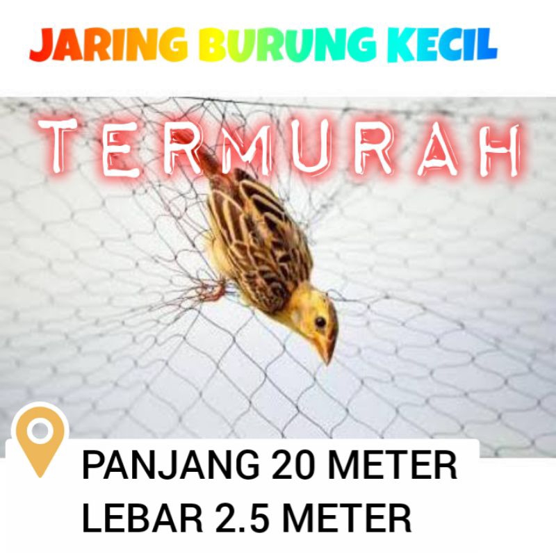 Jual jarung burung kecil lubang 2 jari panjang ±20 meter lebar ±2.5 ...