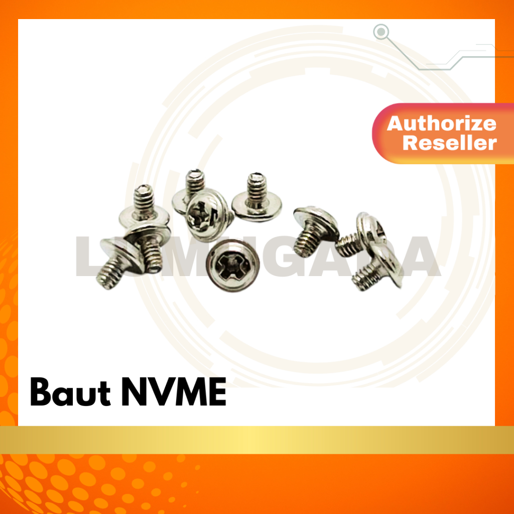 Jual BAUT SSD M2 NVME SCREW MUR Baut Nikel | Shopee Indonesia