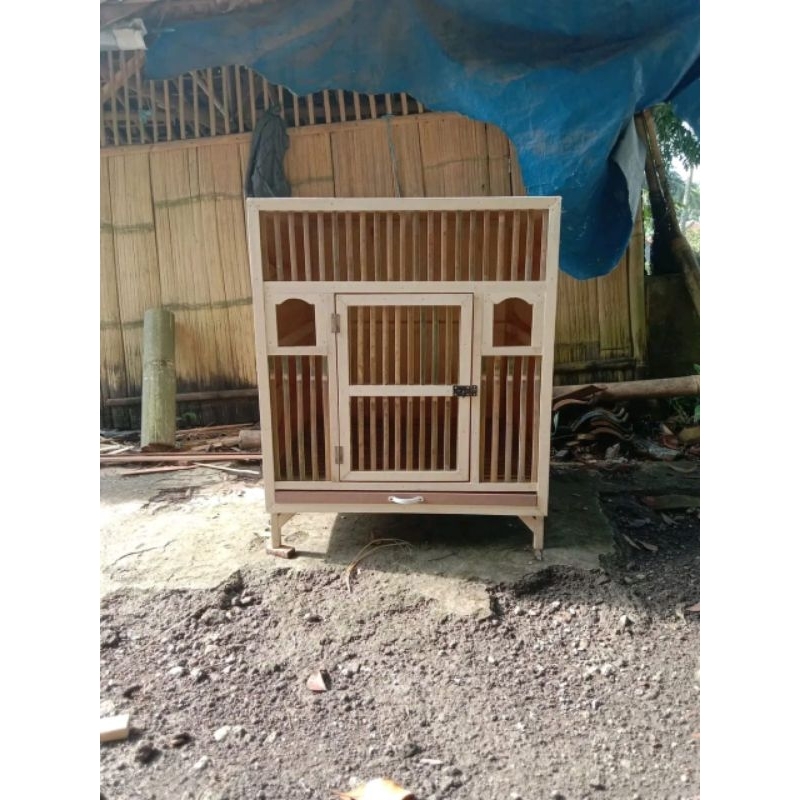 Jual box burung dara ukuran 60 cm x 60 cm x 60 cm | Shopee Indonesia