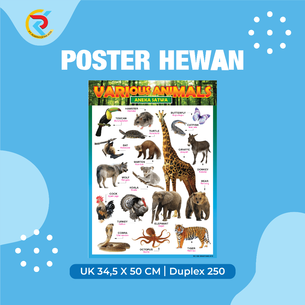 Jual Poster Edukasi Anak Aneka Hewan 12 | Hiasan Dinding Ruangan Kelas ...