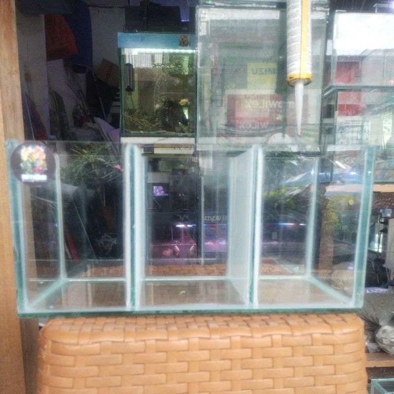 Jual Soliter Cupang Tiga Sekat | Shopee Indonesia