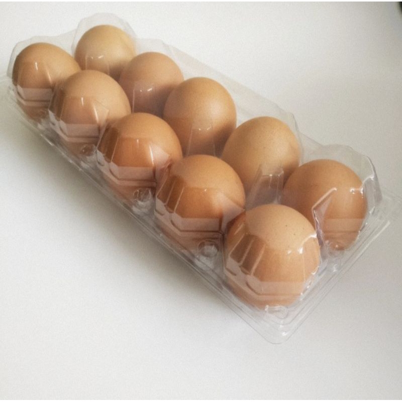 Jual Mika Telur Kancing / Tray Telur / Egg Tray isi 10 butir Sistem ...