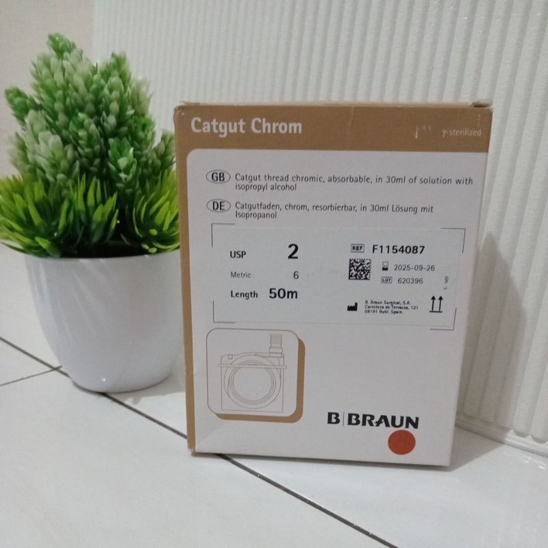 Jual B braun benang chromic 2/Braun Catgut chromic 2/B braun cat gut ...
