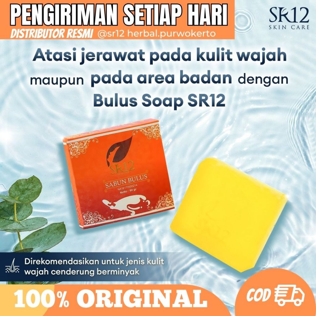 Jual Sabun Bulus SR12 Soap Herbal Bpom Halal Aman Bumil Busui untuk ...