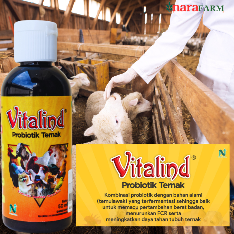 Jual Probiotik ternak burung,Probiotik peternakan kambing,Probiotik ...