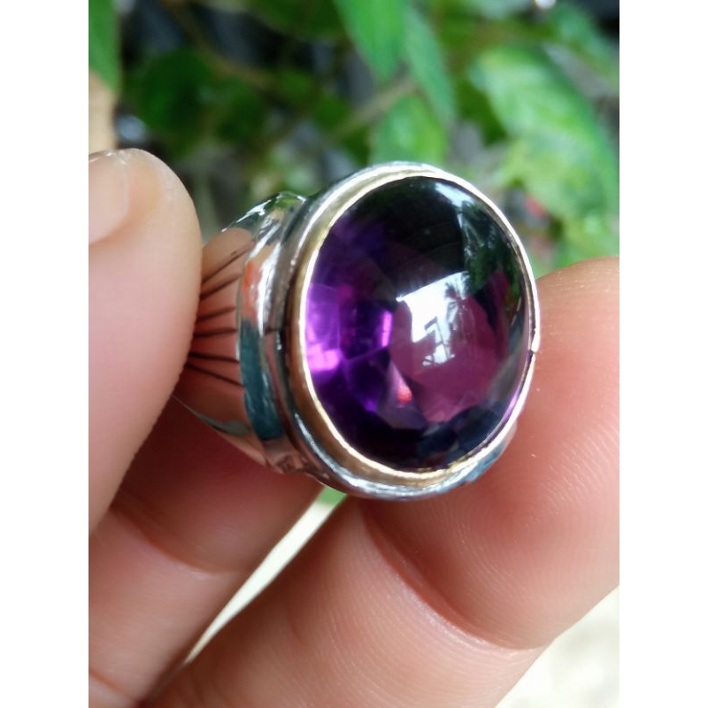 Jual Kecubung Borneo ungu kribang ORI Ketapang | Shopee Indonesia