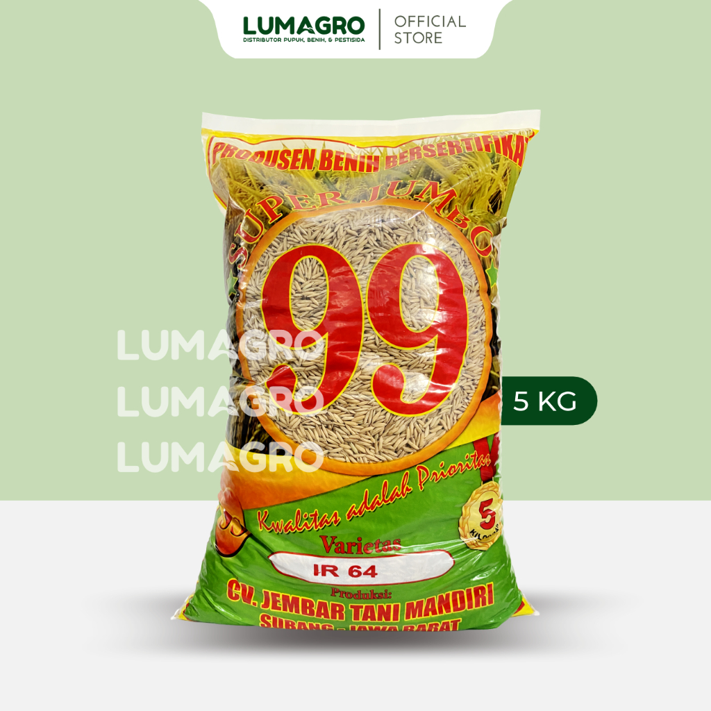 Jual Benih Padi IR64 Subang 99 5kg Bibit Pari Super Jumbo Tahan Wereng dan Hawar Daun IR 64 ...