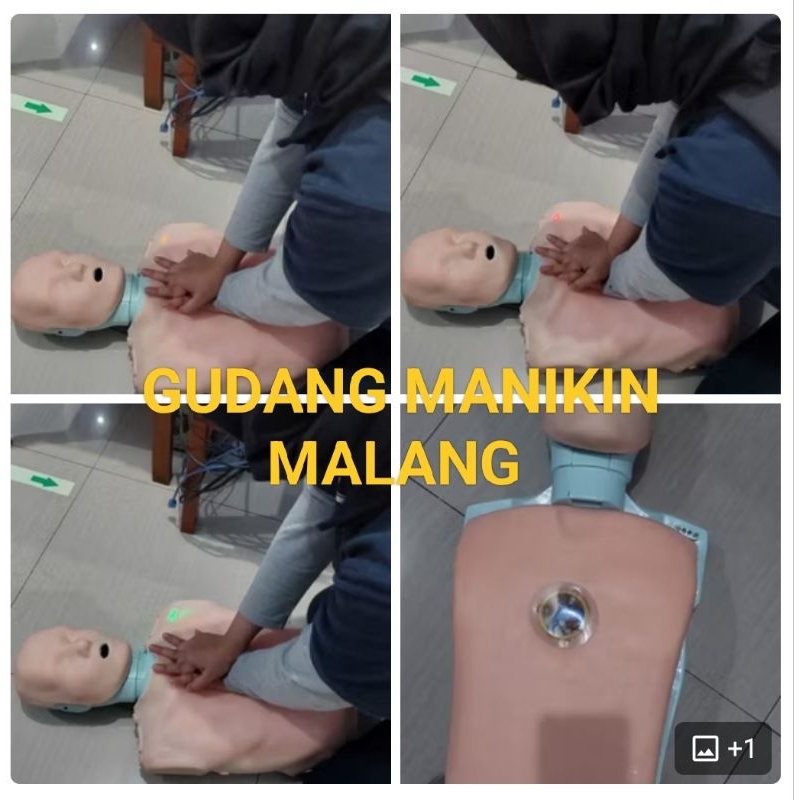 Jual MANIKIN PRESTAN CPR/PHANTOM CPR/MANIKIN BHD/PRESTAN CPR/MANIKIN ...