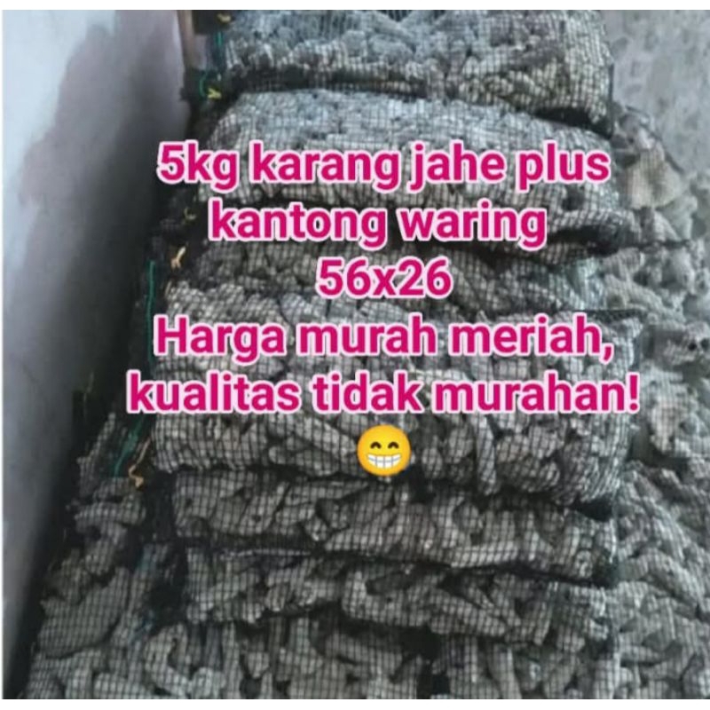 Jual Karang Jahe 5kg + Kantong Waring - Peningkat & Penstabil pH Air ...