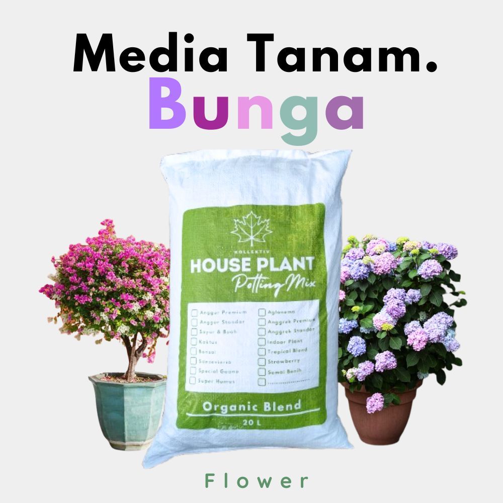 Jual Media Tanam Bunga Bougenville/Hydrangea | Shopee Indonesia