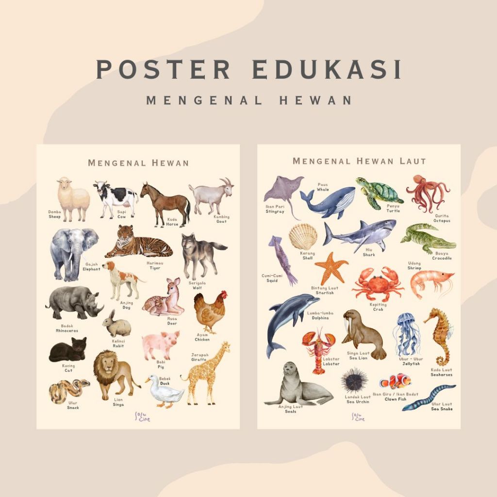Jual Poster Edukasi - Poster Mengenal Huruf / Mengenal Hewan / Poster ...
