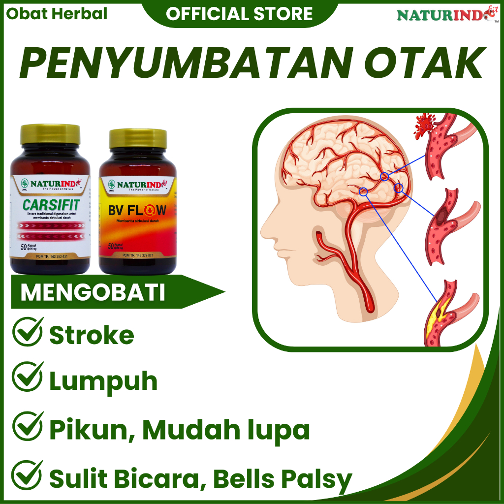 Jual Obat Penyumbatan Pembuluh Otak Pendarahan Penggumpalan Melancarkan ...