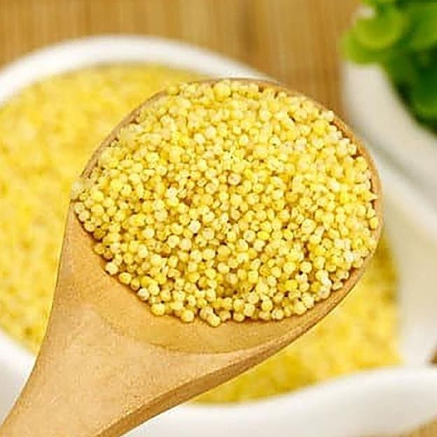 Jual Jewawut 1000 gr Biji Kuning Kunyit Enrekang Sulawesi | Shopee ...