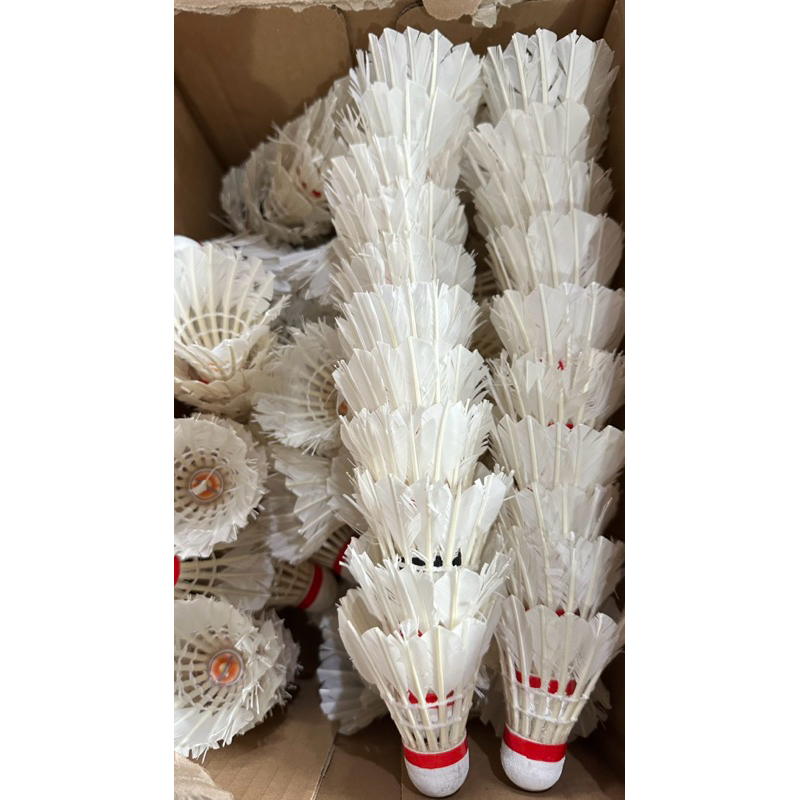 Jual Shuttlecock bekas / kok badminton / bola bulu tangkis bekas ...