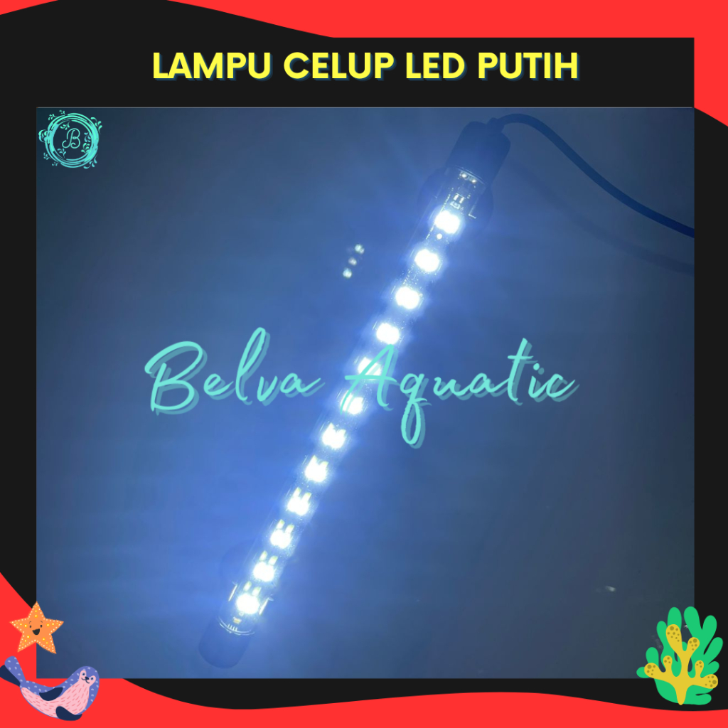 Jual Lampu LED Aquarium Celup Putih Putih Biru 20 30 CM | Shopee Indonesia