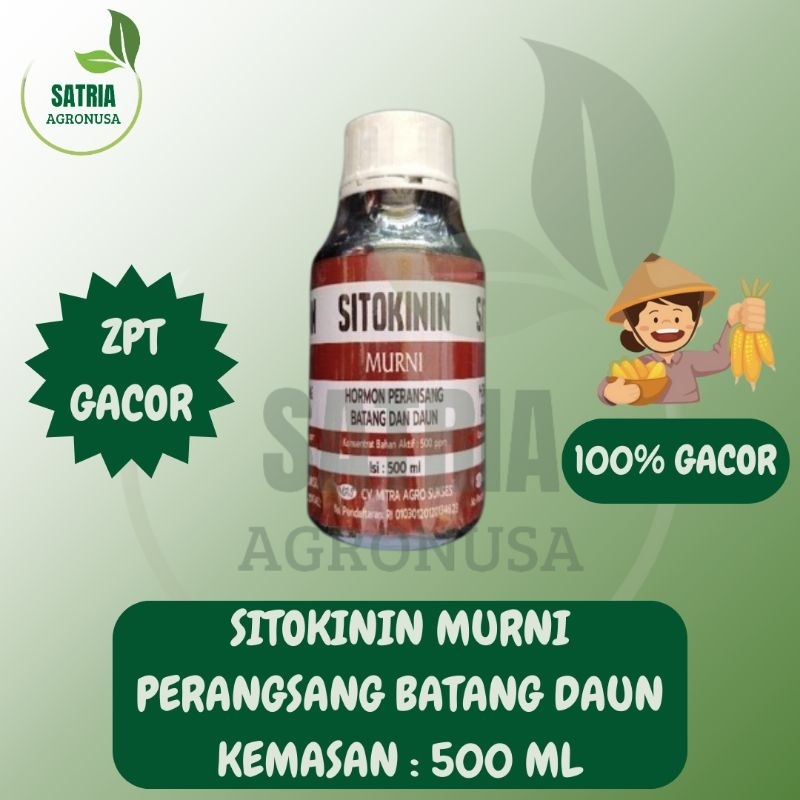 Jual SITOKININ MURNI 500 ML - HORMON PERANGSANG BATANG DAN DAUN TOP ...