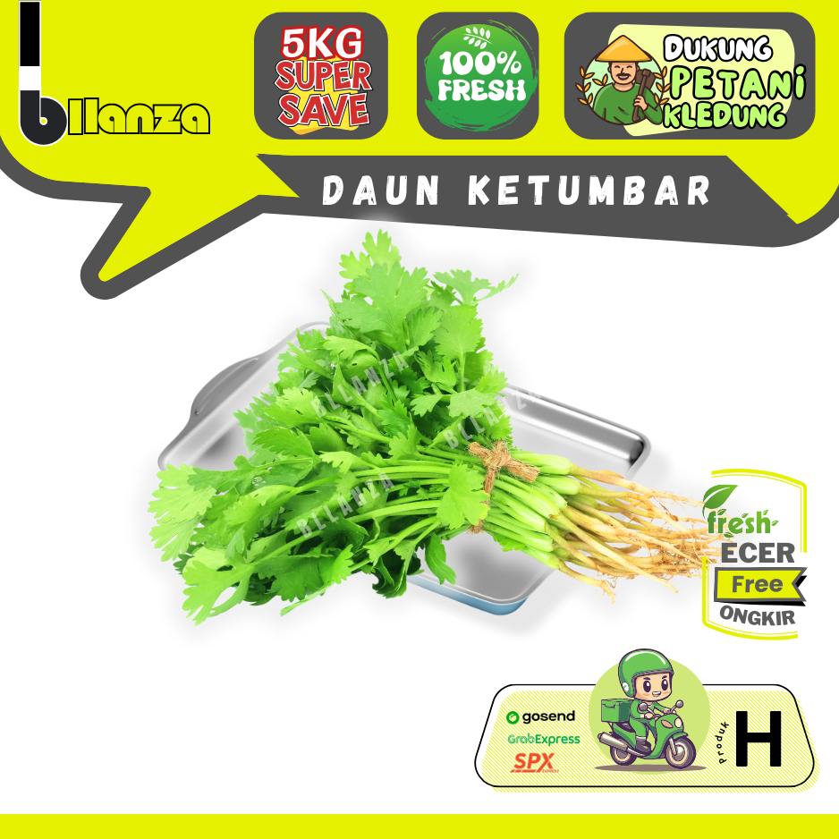 Jual Bllanza | Daun Ketumbar / Wangsui — Sahabat Makan Sayur ECER (H ...