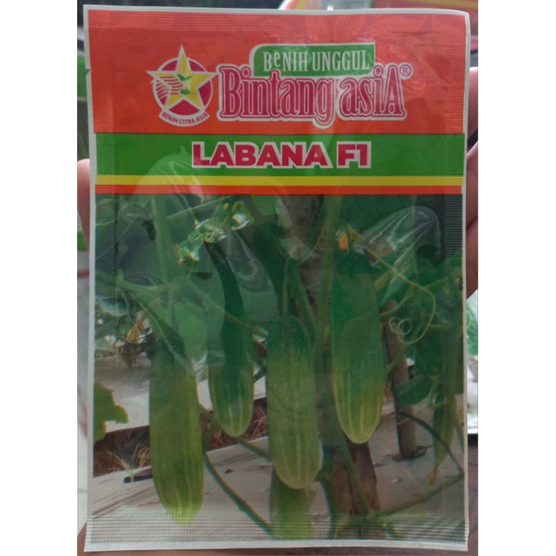 Jual Benih timun LABANA F1 20 Gram Bintang Asia | Shopee Indonesia