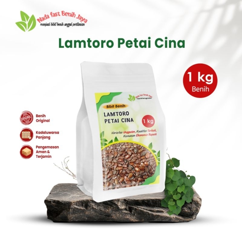 Jual Nada fast benih jaya - 1 Kg Benih lamtoro super / bibit pohon ...