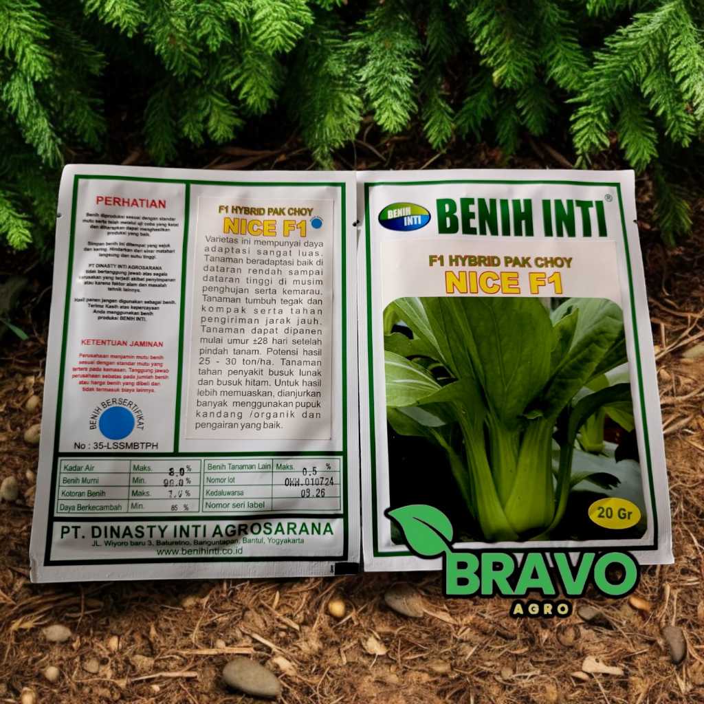 Jual BENIH PAK CHOY (SAWI) F1 HYBRIDA NICE F1 ANTI VIRUS - BENIH INTI ...