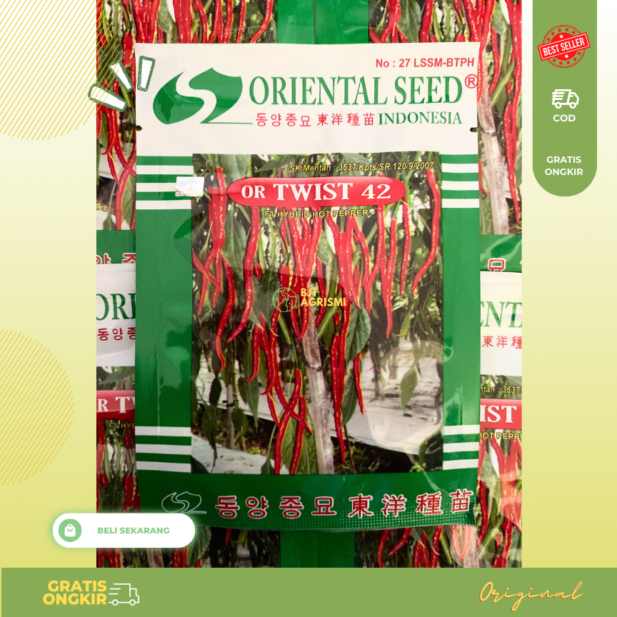 Jual Benih cabe keriting OR TWIST 42 10 gram cabai keriting 10gr dari ...