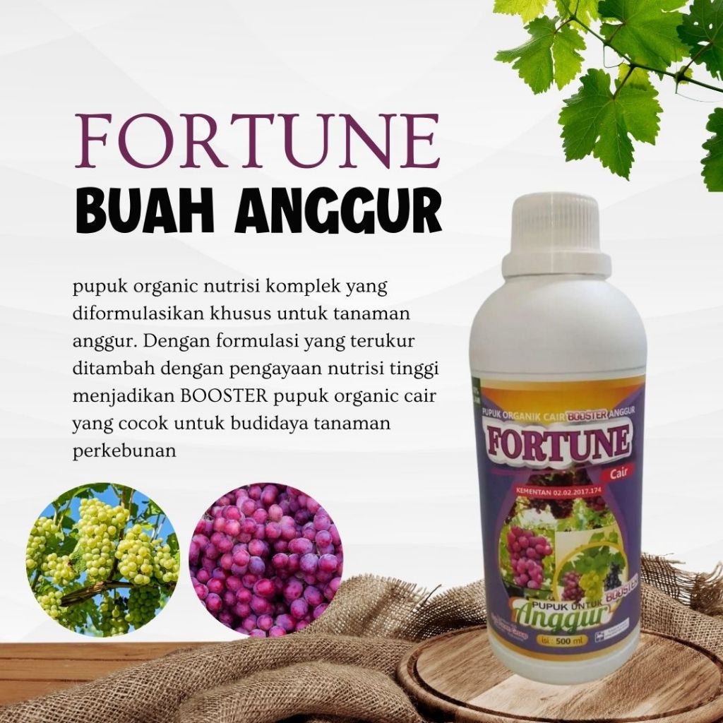Jual Pupuk Organik Booster Anggur Cepat Berbuah, Pupuk Buah Anggur ...