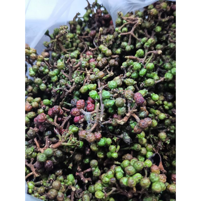 Jual Andaliman segar 1 kg,500 gr,250 gr,100 gr | Shopee Indonesia