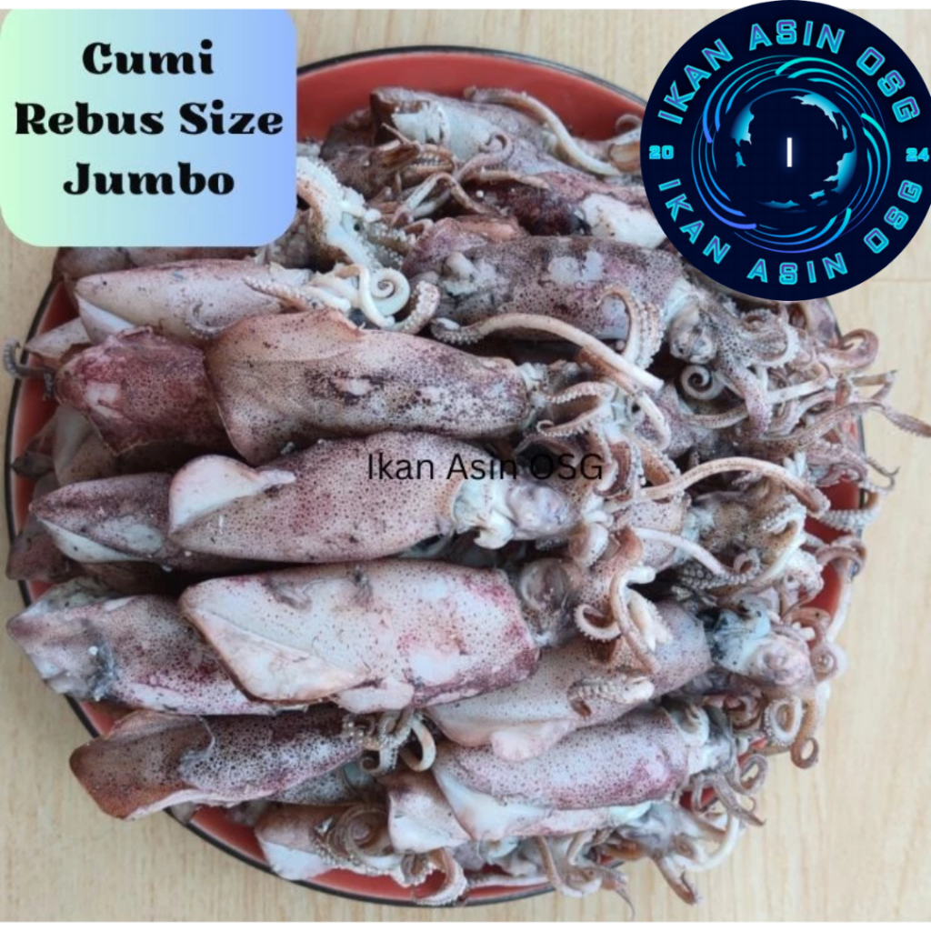 Jual Ikan Asin Cumi Rebus/Sotong Rebus Size Jumbo | Shopee Indonesia