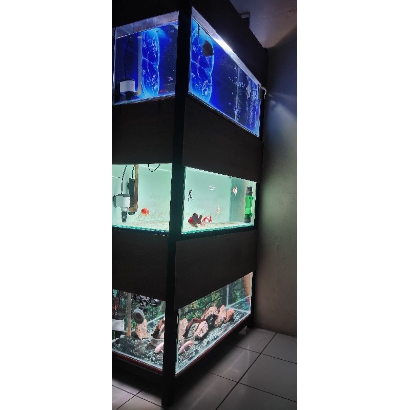 Jual Aquarium dan Rak | Shopee Indonesia