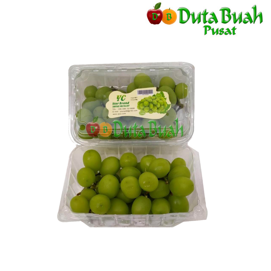 Jual DUTA BUAH Anggur Hijau Shine Muscat (+-500g/pack) | Shopee Indonesia