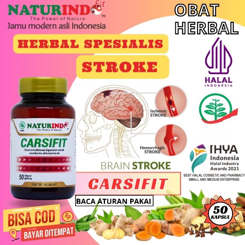Jual Obat Herbal Stroke Ringan Berat Gejala Stroke Terapi Pasca Stroke ...