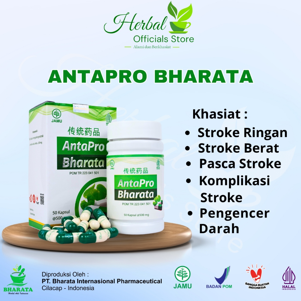 Jual Obat Stroke Ringan/Berat Komplikasi Stroke Pengencer Darah Antapro ...