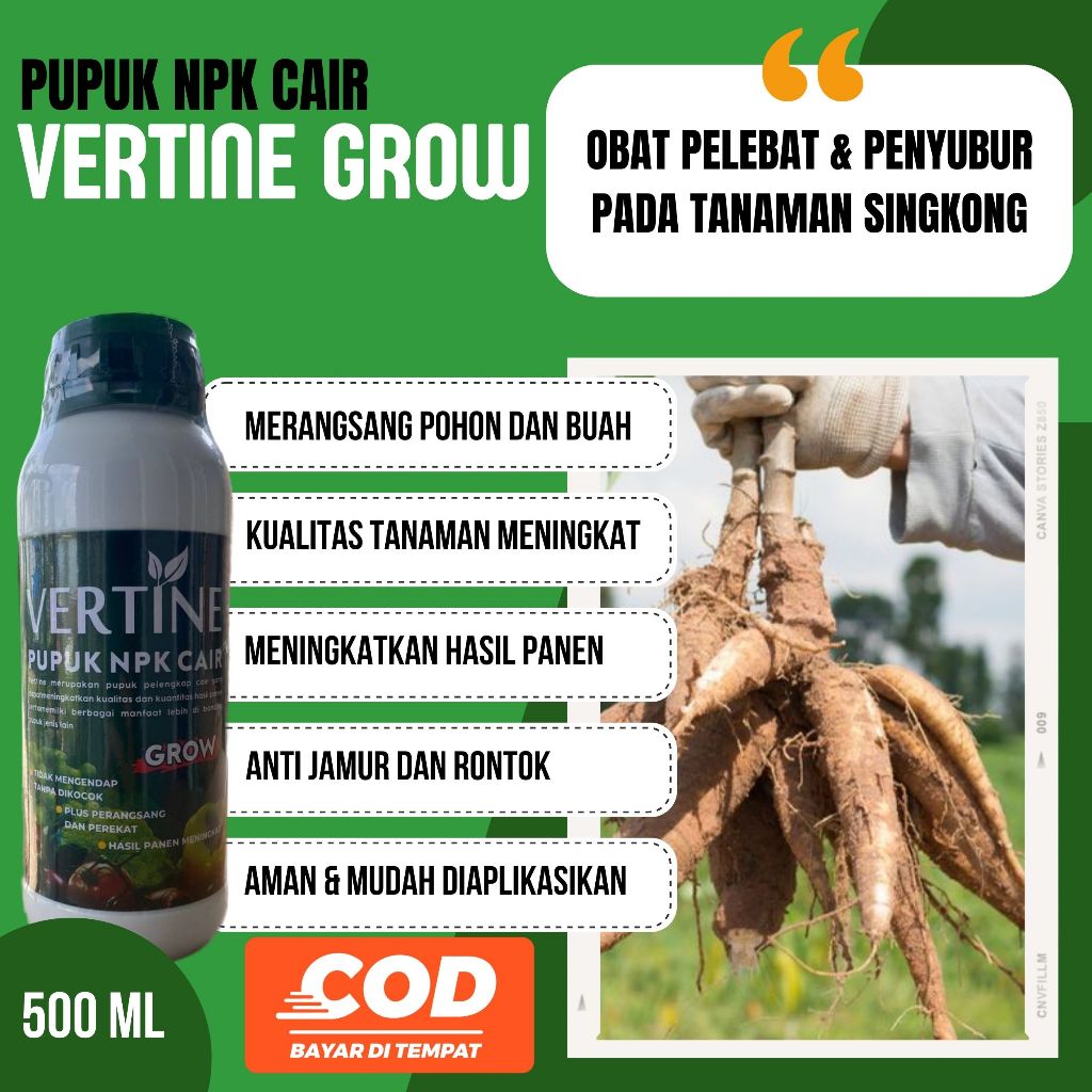 Jual PUPUK PELEBAT SINGKONG VERTINE-GROW PUPUK PEMBESAR BUAH dan BOBOT SINGKONG Lebih Berat dan ...