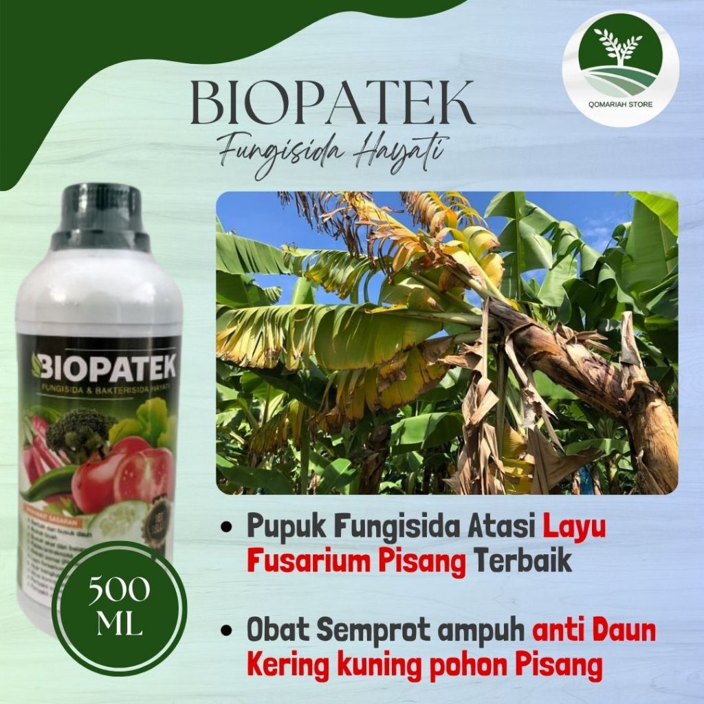 Jual Fungisida Layu Fusarium Pisang Terbaik BIOPATEK 500ml Obat semprot atsi busuk buah pisang ...