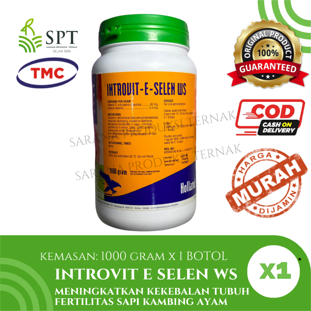 Jual INTROVIT E SELEN WS 1KG SUPLEMEN VITAMIN HEWAN TERNAK AYAM SAPI ...