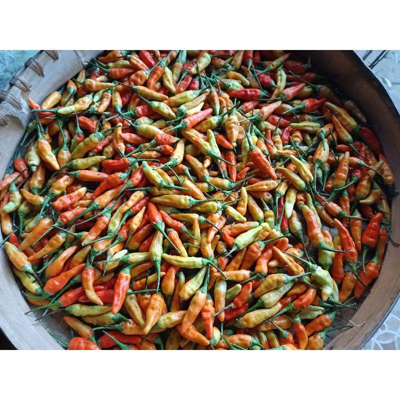 Jual CABE CABAI RAWIT MERAH, HIJAU GRADE A, B ( 1 KG ) | Shopee Indonesia