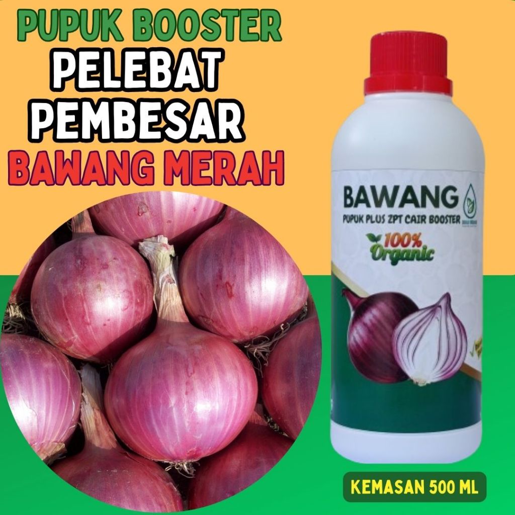Jual pupuk bawang merah | pupuk organik cair buah dan sayuran | Pupuk Buah pembesar umbi bawang ...