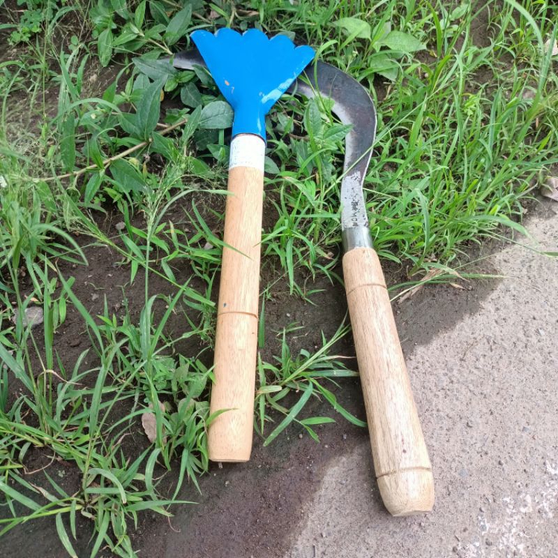Jual cakar mini, garukan sampah + garukan rumput. MURAH | Shopee Indonesia